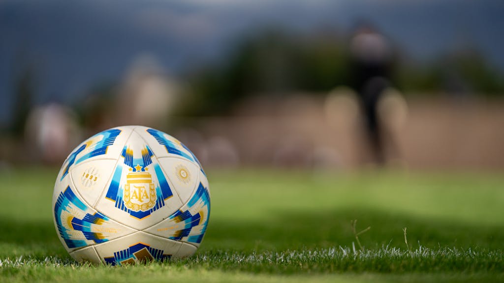 FIFA World Cup 2026 Safety Guide: Essential Tips Every Fan Must Know ...